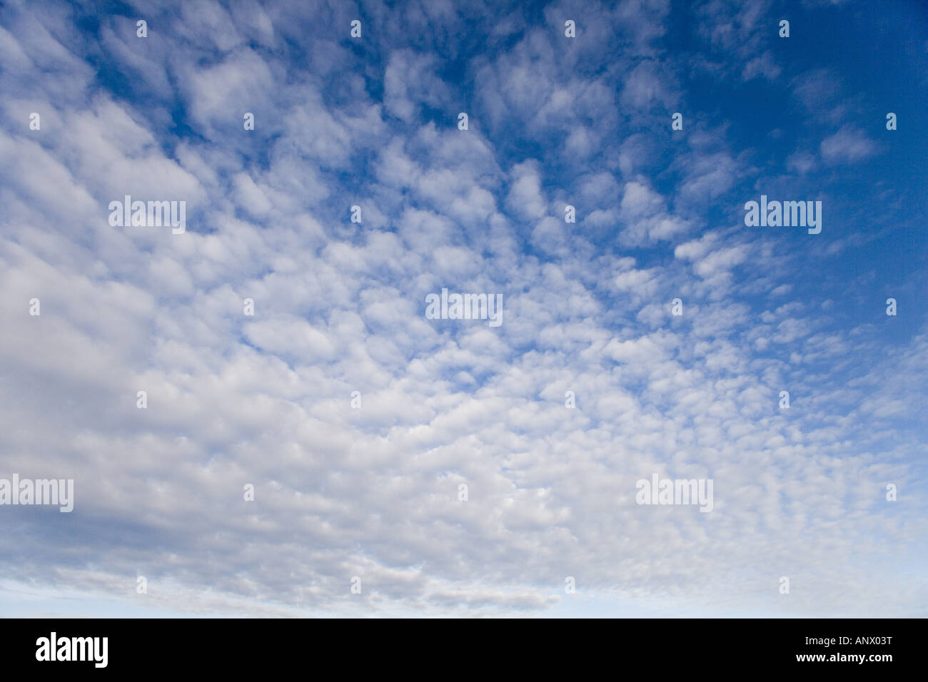 Altocumulus perlucidus clouds hi-res stock photography and images - Alamy