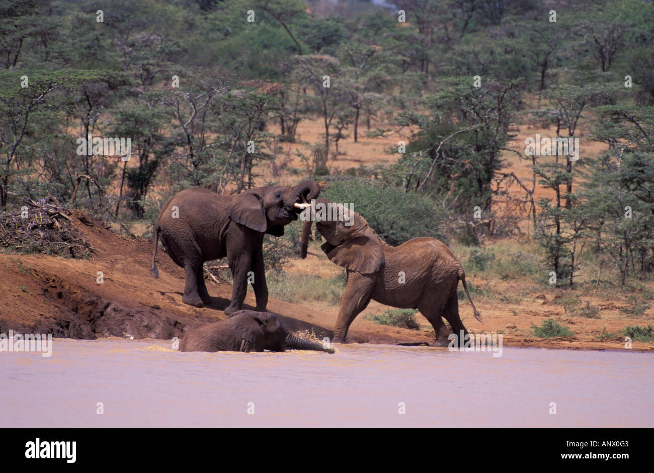 Mpala region hi-res stock photography and images - Alamy