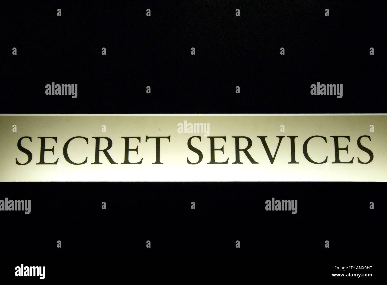 illuninated notice in a black background secret services in the ...