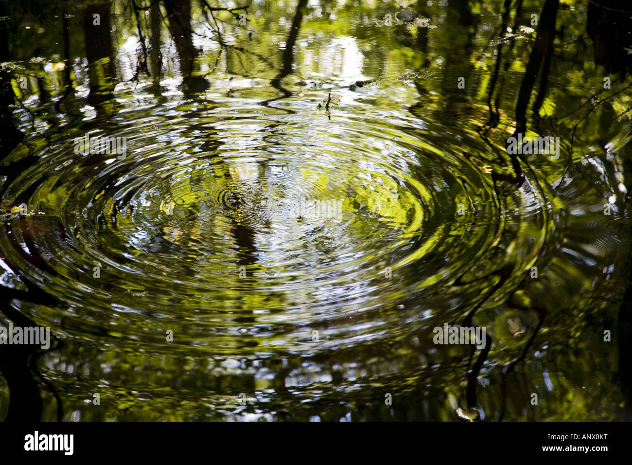 Inshore waves hi-res stock photography and images - Alamy