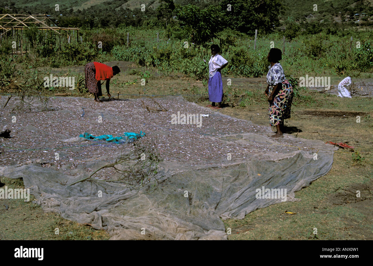 Mfangano island hi-res stock photography and images - Alamy