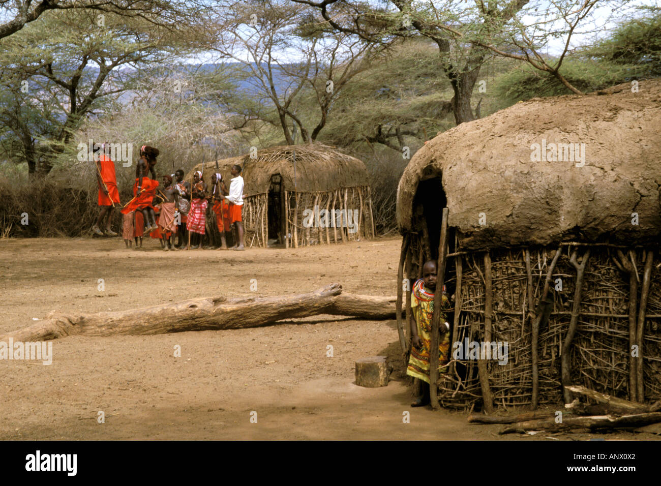 Africa, Kenya, Masai Mara. Masai Kraal Manyatta, jumping Masai, houses ...