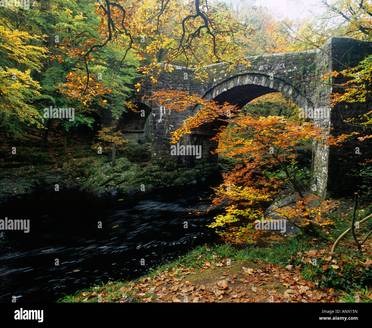 Autumn colours by Holne Bridge over the River Dart in Dartmoor National ...