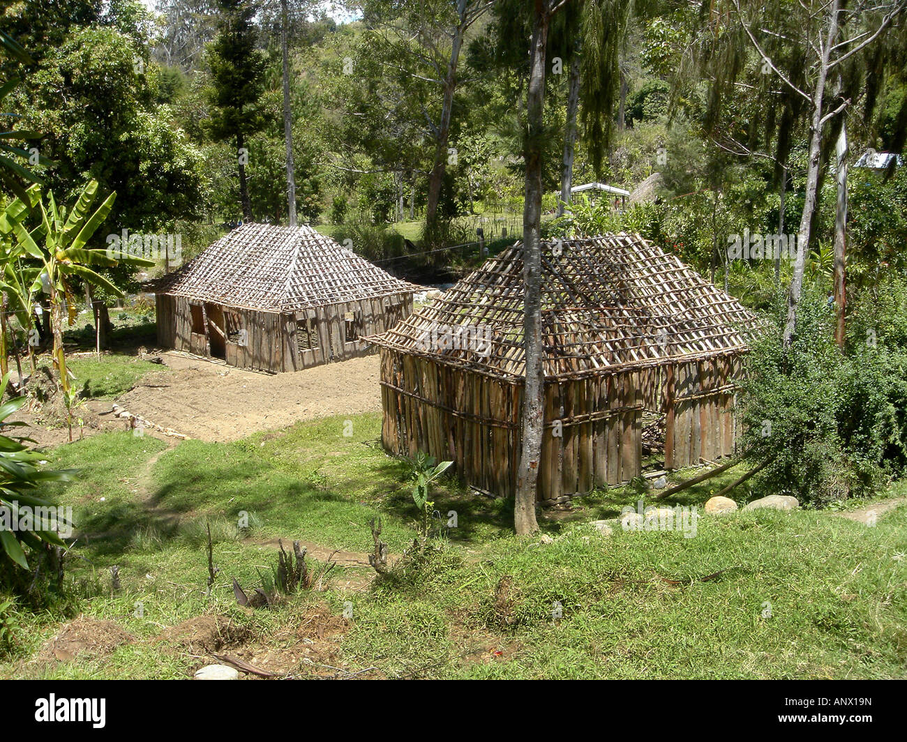 construction of new huts, Papua New Guinea Stock Photo - Alamy