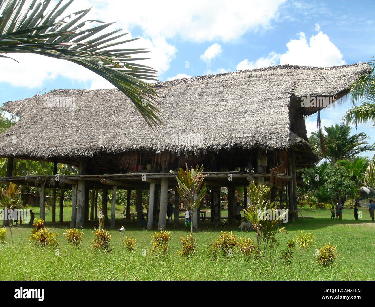 Traditional house of papuan hi-res stock photography and images - Alamy