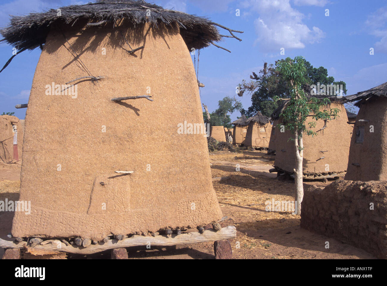 Konga hi-res stock photography and images - Alamy