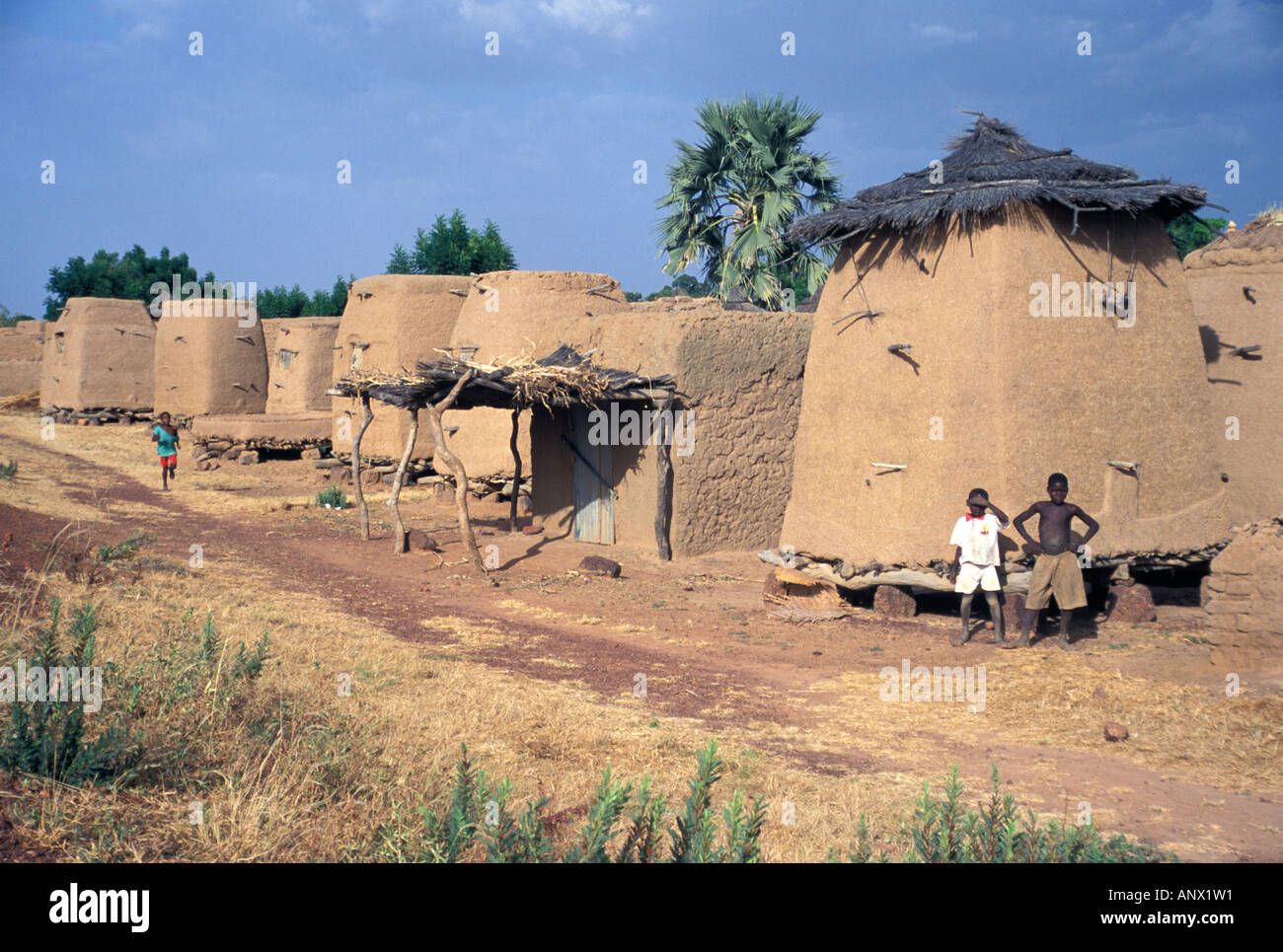 Konga hi-res stock photography and images - Alamy