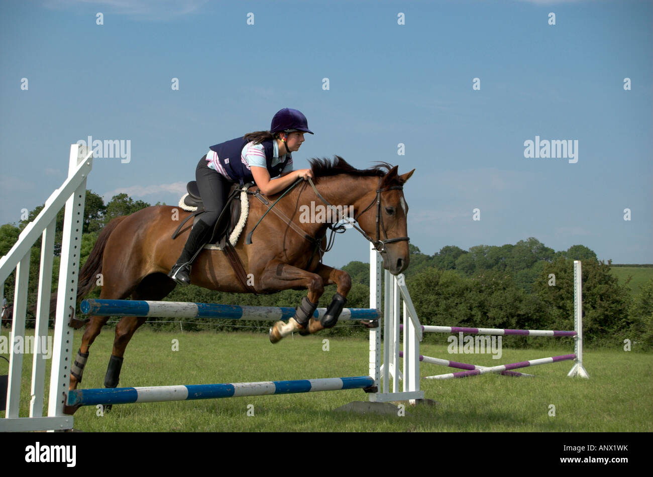 Horse and Rider Show Jumping Stock Photo - Alamy