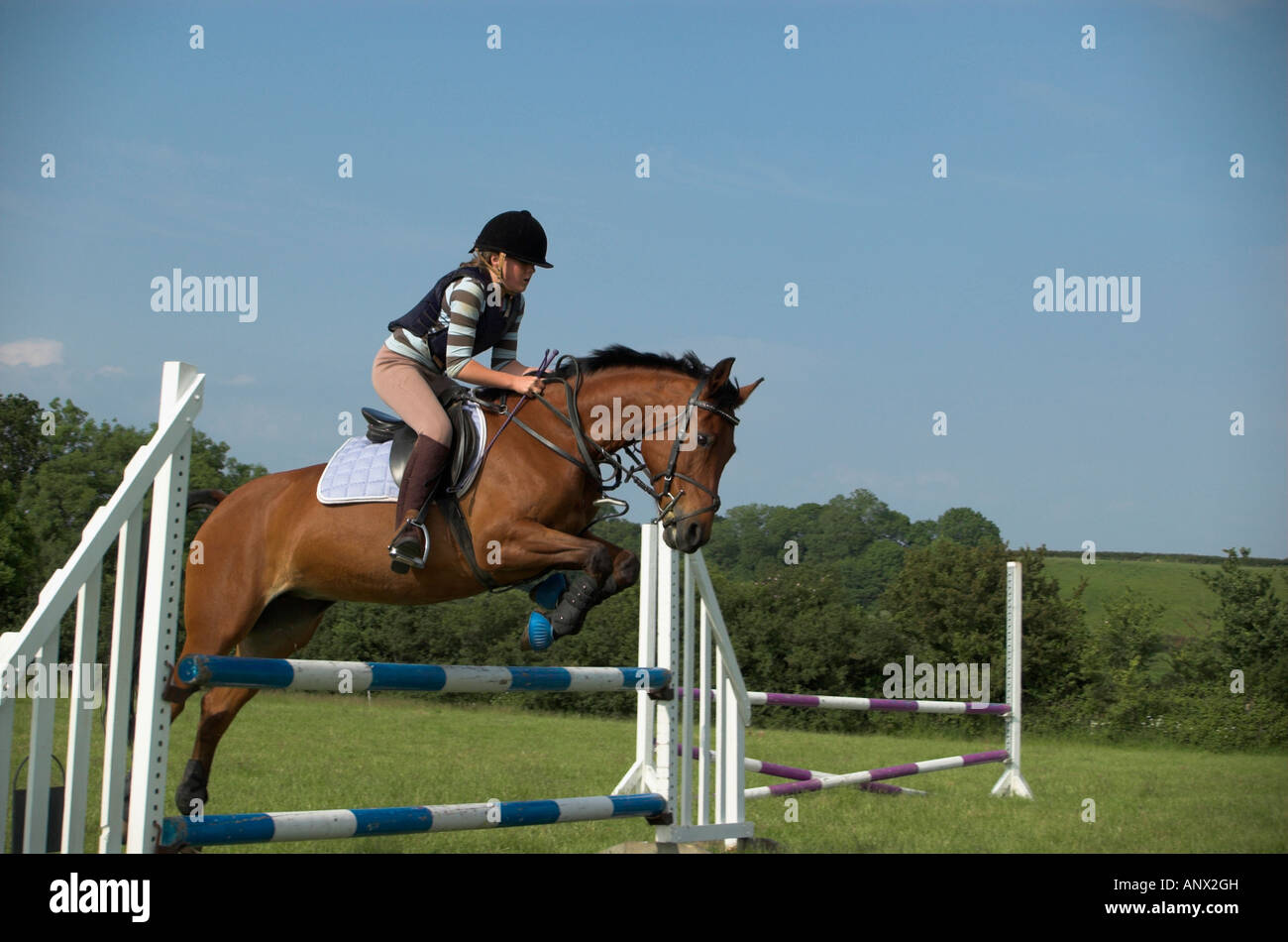 Horse jumping olympics hi-res stock photography and images - Alamy