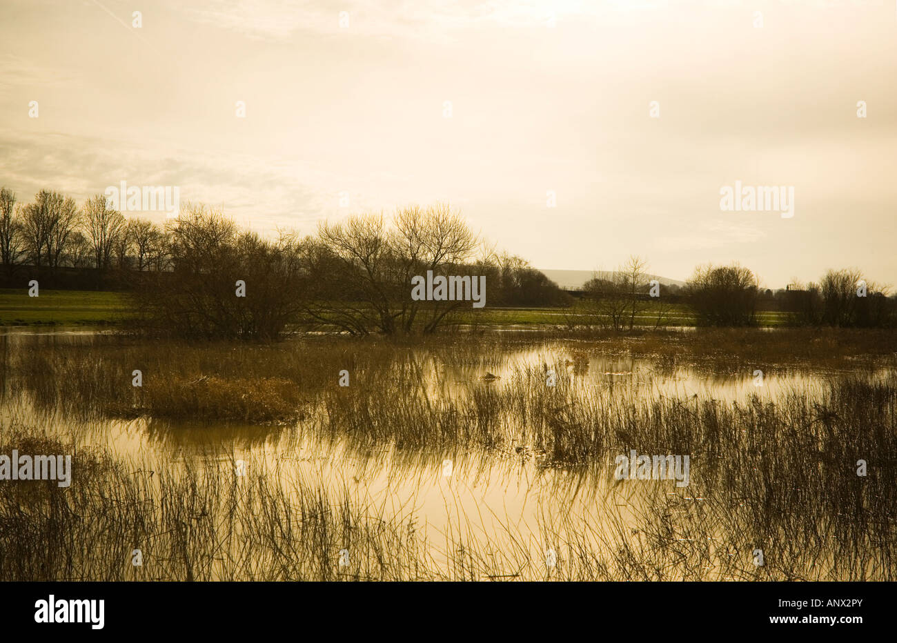 River having burst its banks after prolonged heavy rain in Sussex UK ...