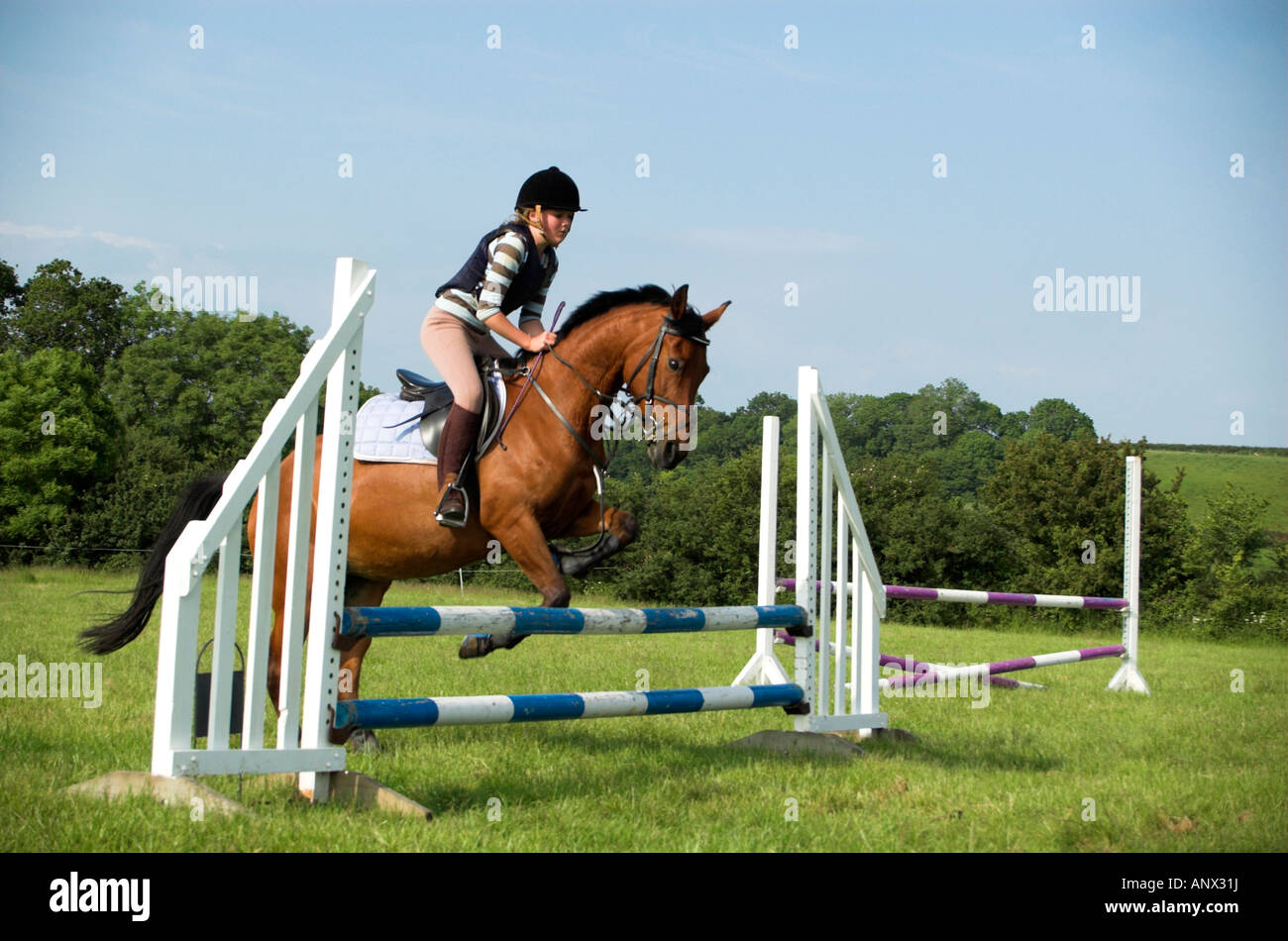 Horse and Rider Show Jumping Stock Photo - Alamy