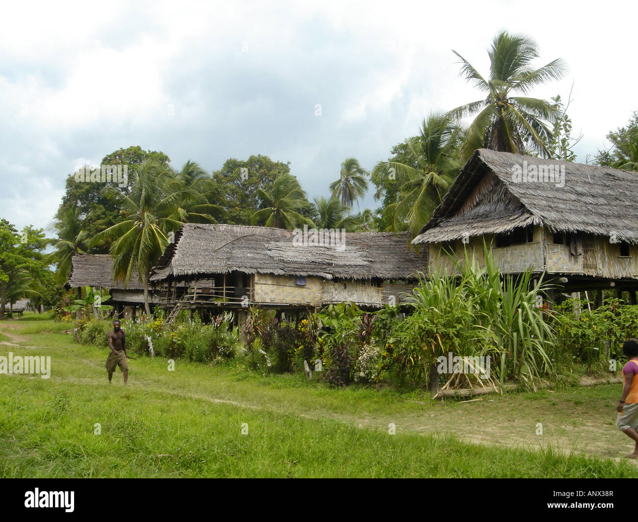Papua New Guinea Village