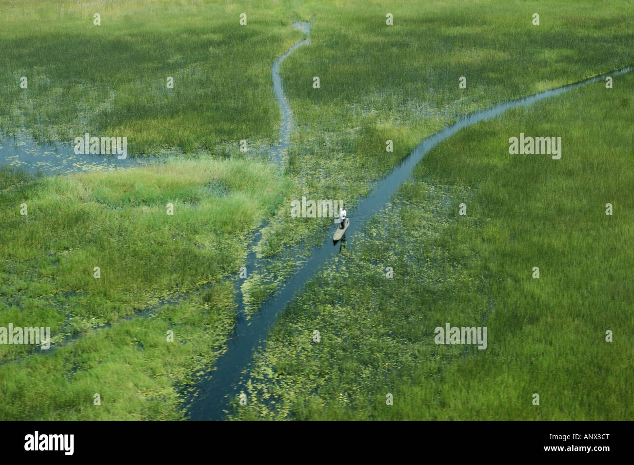 boat in the Okawango delta, Botswana Stock Photo - Alamy