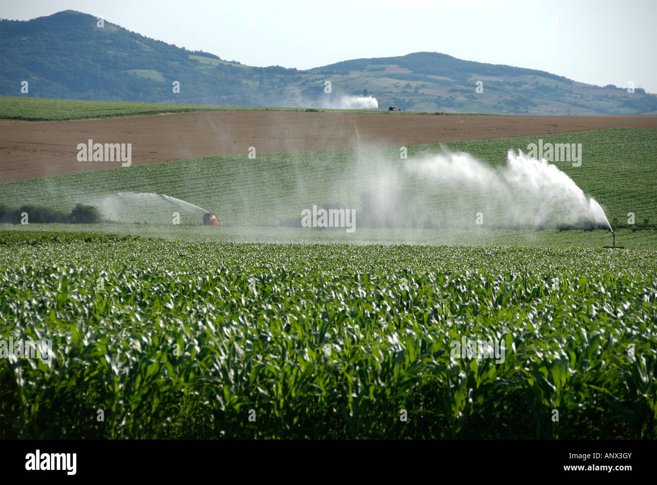 Watering a field of maize, Limagne, Auvergne, France, Europe Stock ...