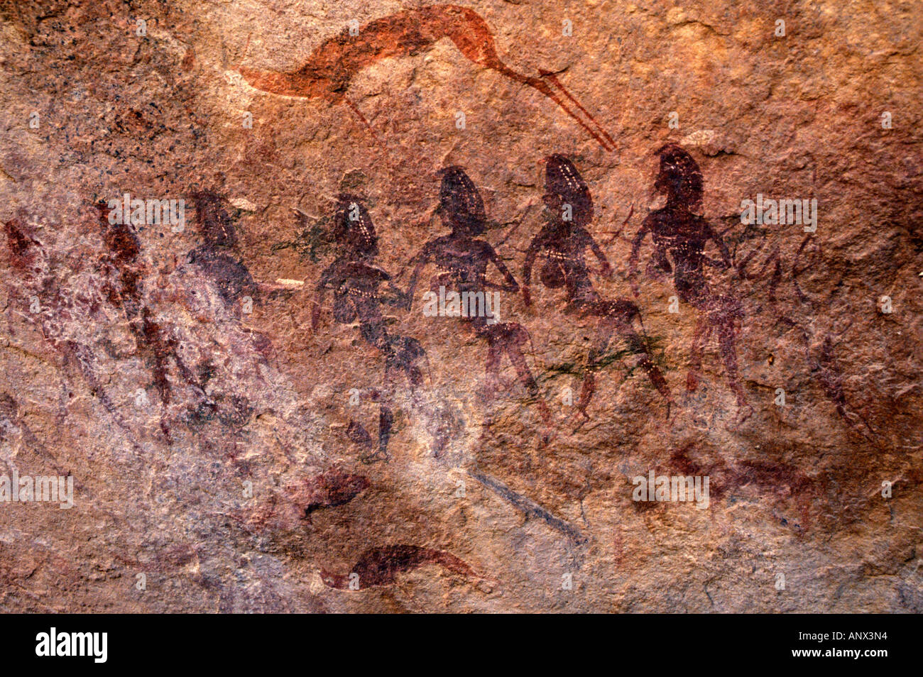 Namibias symbol hi-res stock photography and images - Alamy