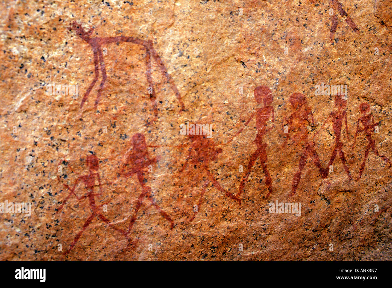 Namibias symbol hi-res stock photography and images - Alamy