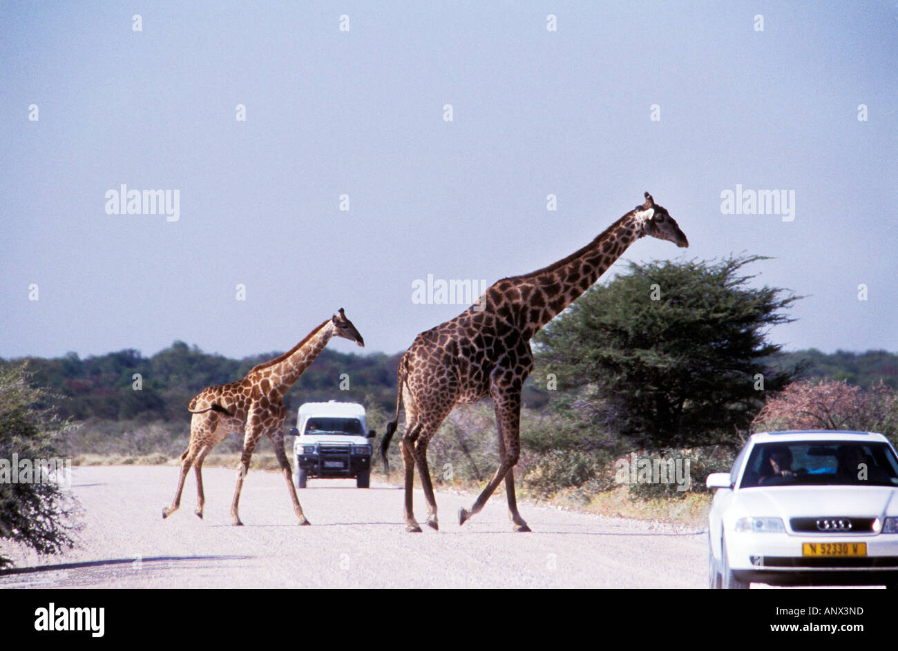Np dodge park hi-res stock photography and images - Alamy
