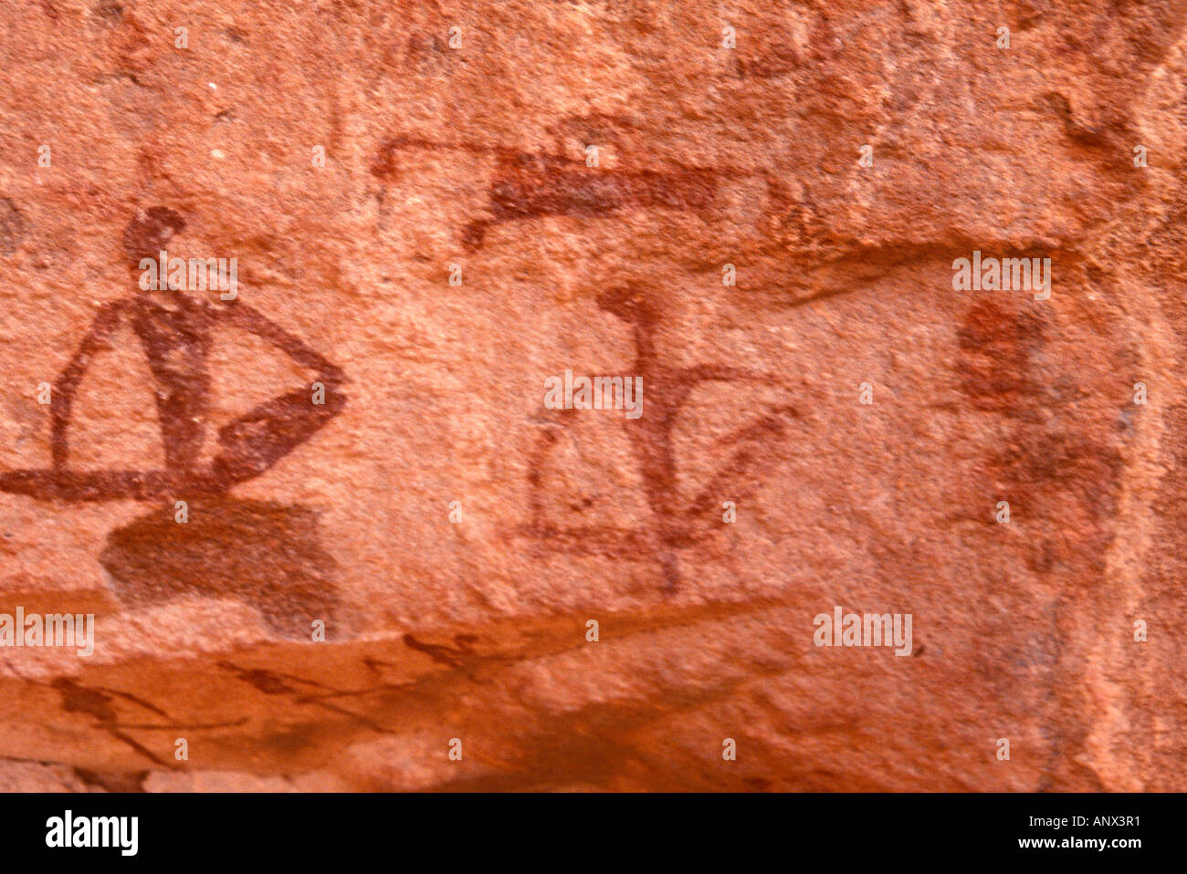 Paintings, etchings and petroglyphs of Twyfelfontein, in Namibia ...