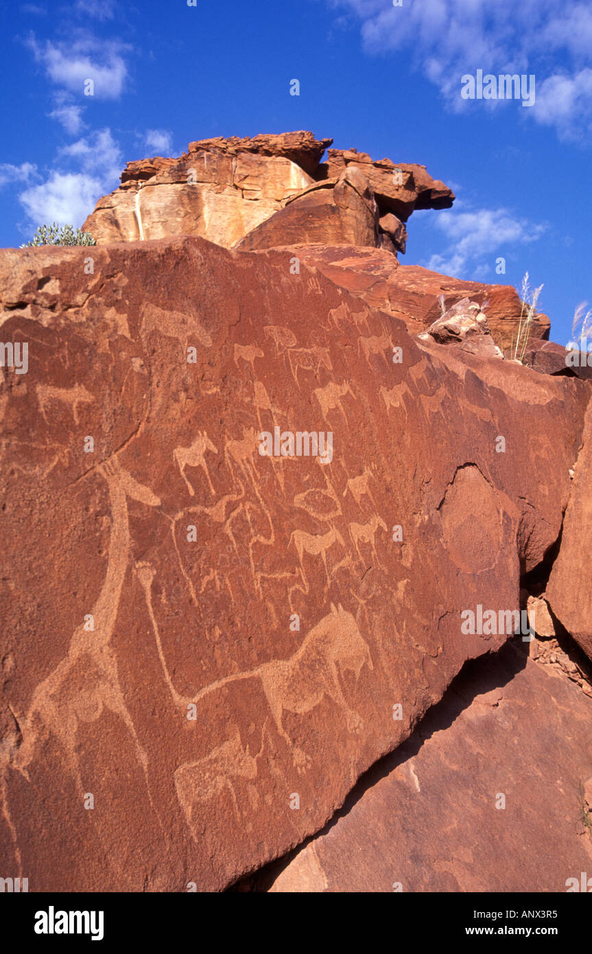 Petroglyphs in twyfelfontein namibia africa hi-res stock photography ...