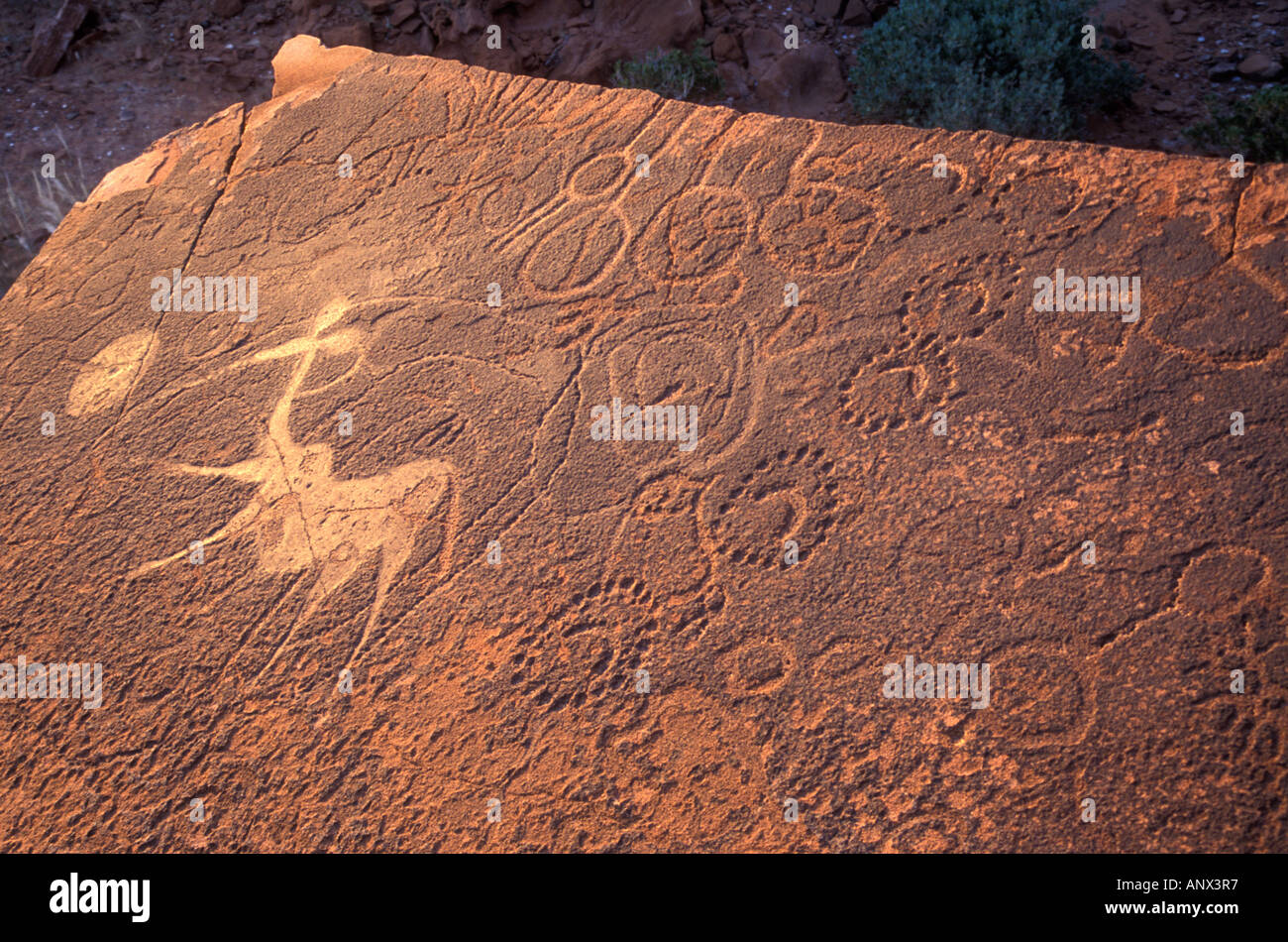 Paintings, etchings and petroglyphs of Twyfelfontein, in Namibia ...