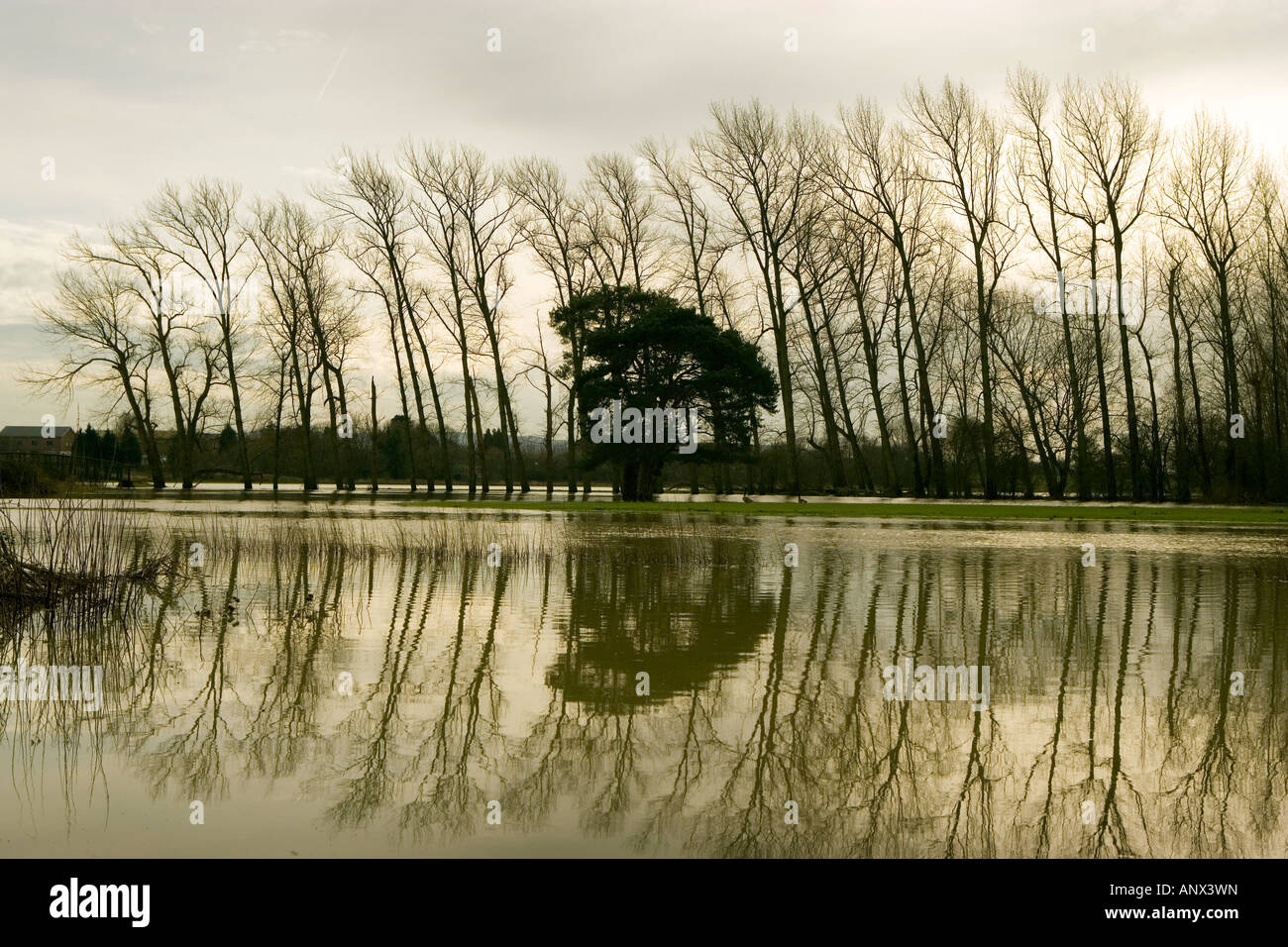 Flooded landscape after heavy rain Stock Photo - Alamy