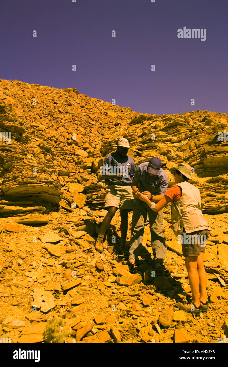 Namibia, Skeleton Coast, Guide showing fossils and rock detail Stock ...