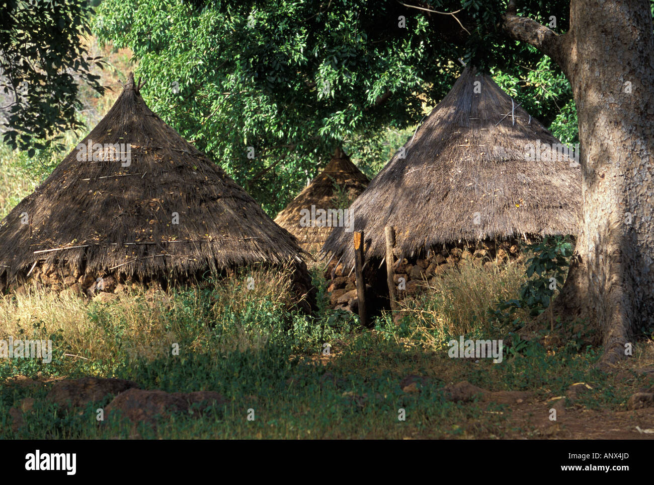 Bassari senegal hi-res stock photography and images - Alamy