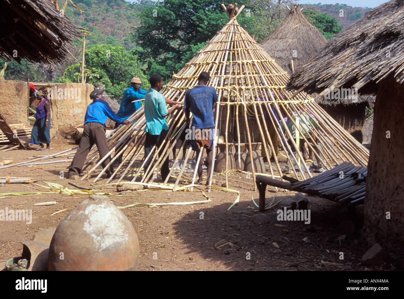 Bedik men making the roof for a traditional tribal hut, in the village ...