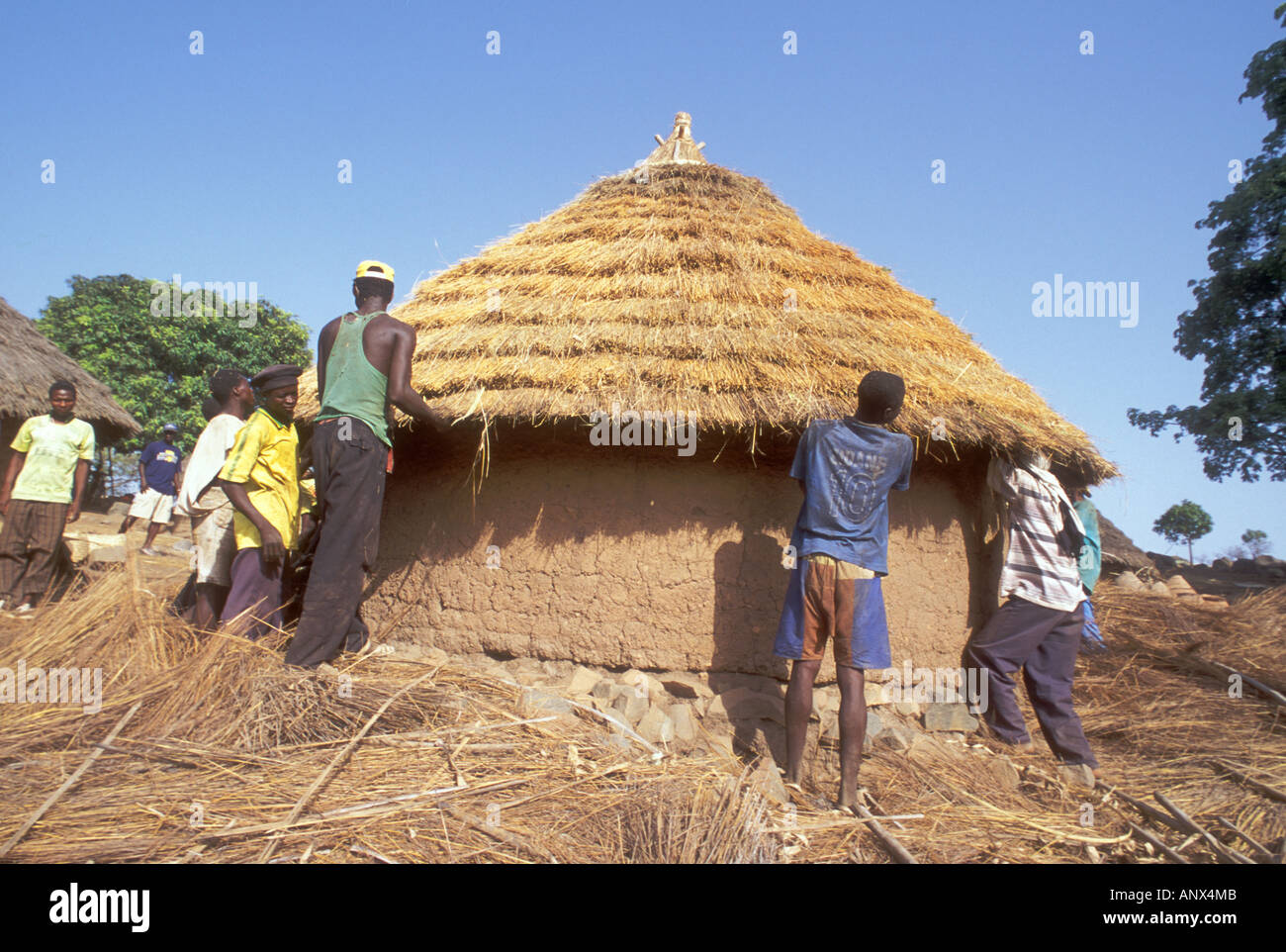 Bedik men put the roof on a hut in the village of Iwol, in Senegal ...