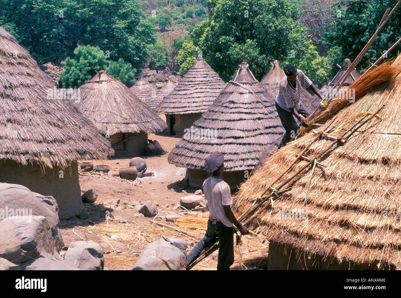 Two Bedik men put a thatch roof on a hut in their village, Senegal ...