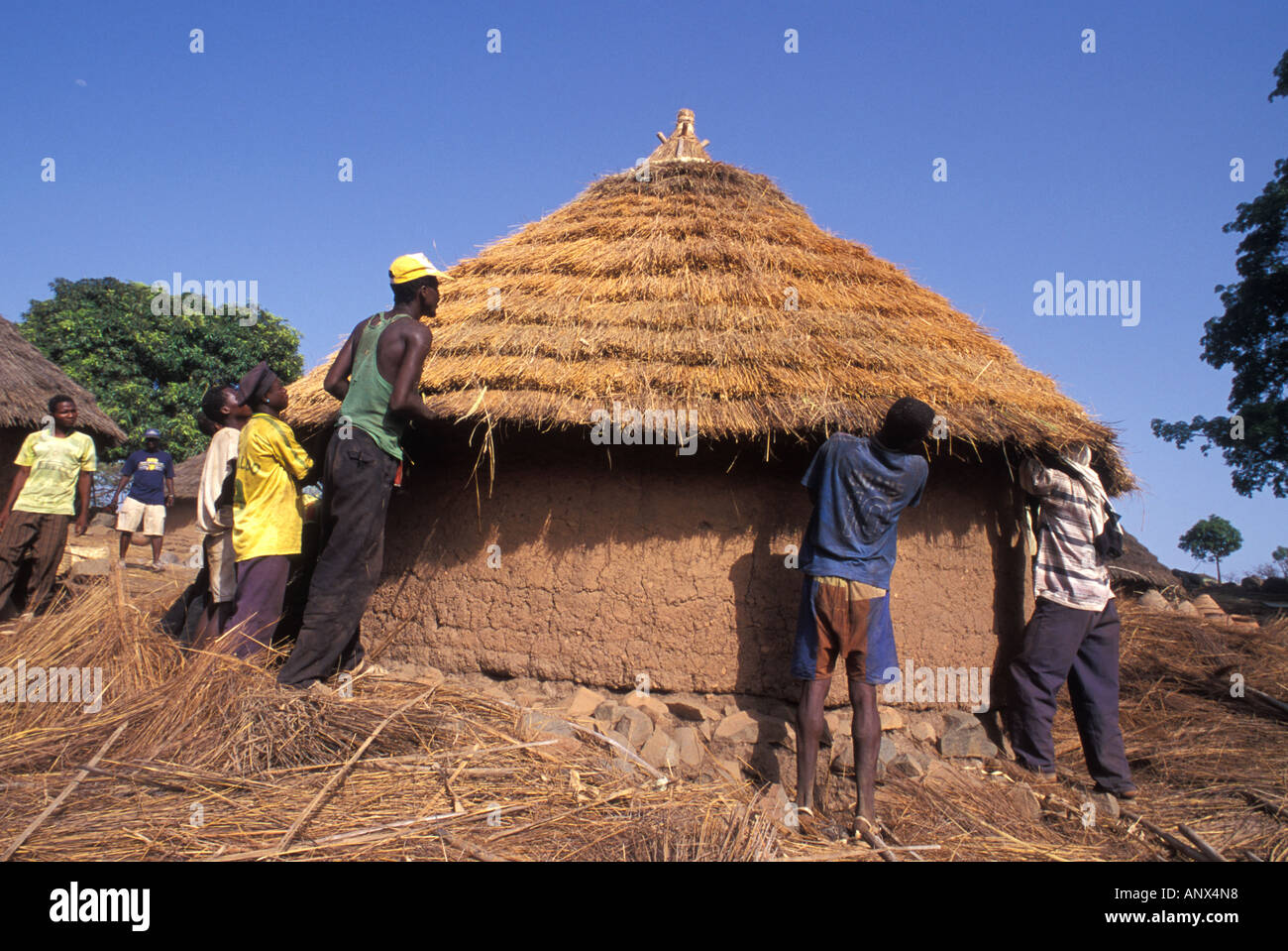 Men fit a new thatch roof on a hut, in a Bedik village in Senegal ...