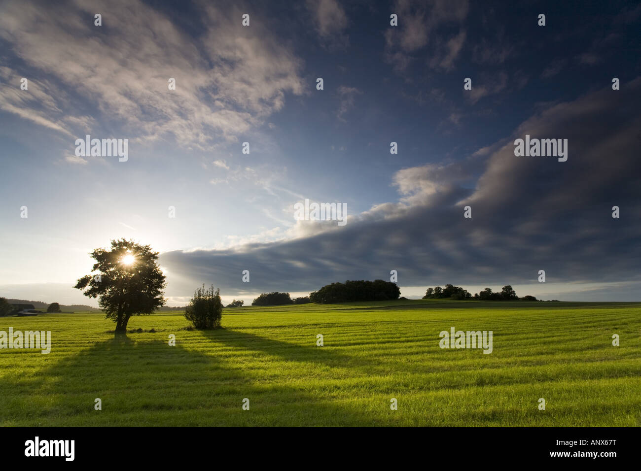 cultural landscape at sunrise, Germany, Saxony, Vogtlaendische Schweiz ...