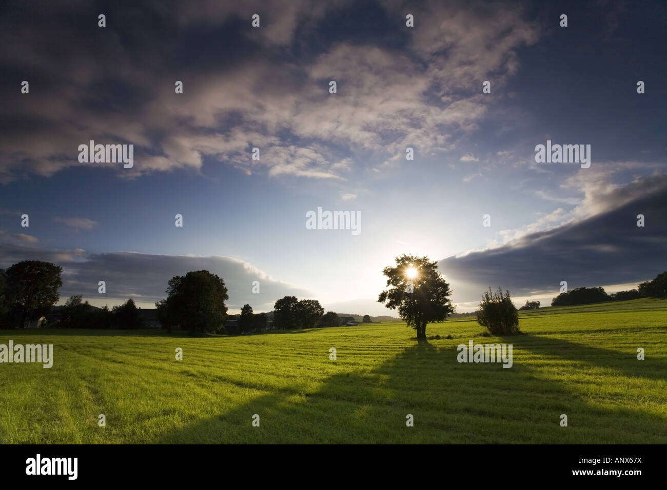 cultural landscape at sunrise, Germany, Saxony, Vogtlaendische Schweiz ...