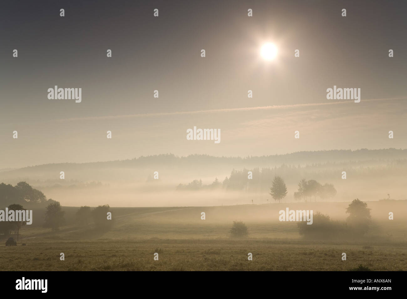 cultural landscape in morning mist, Germany, Saxony, Vogtlaendische ...