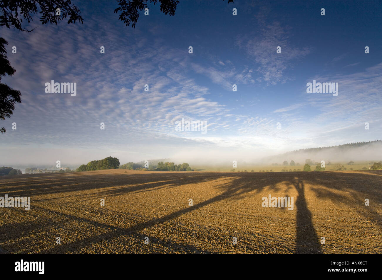 cultural landscape in the morning with cloudy sky and long shadows of ...