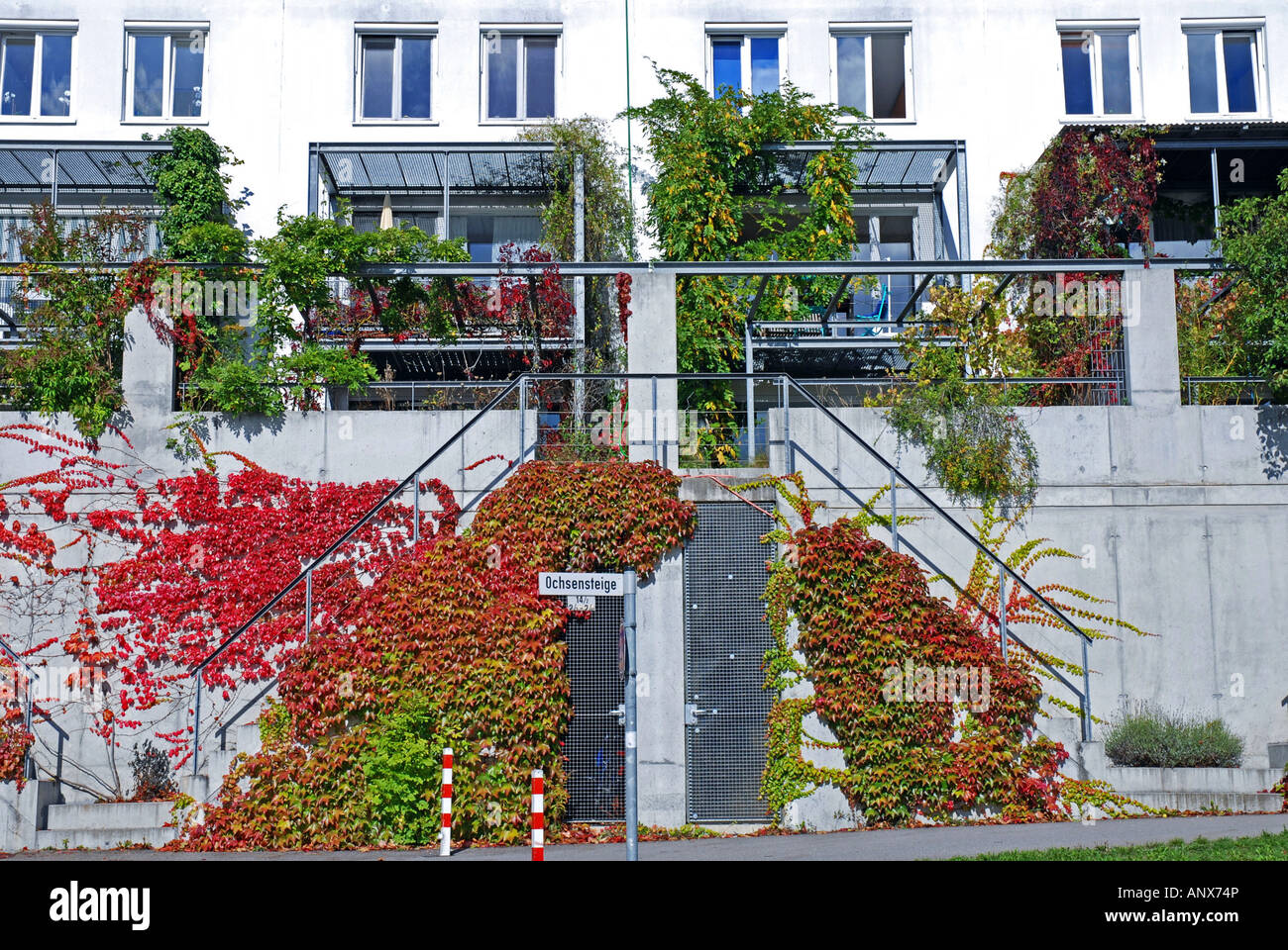 Row of front doors housing estate hi-res stock photography and images ...