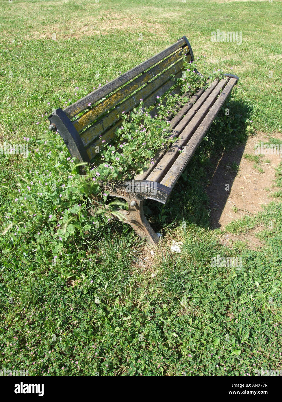 one bench overgrown with long grass Stock Photo - Alamy