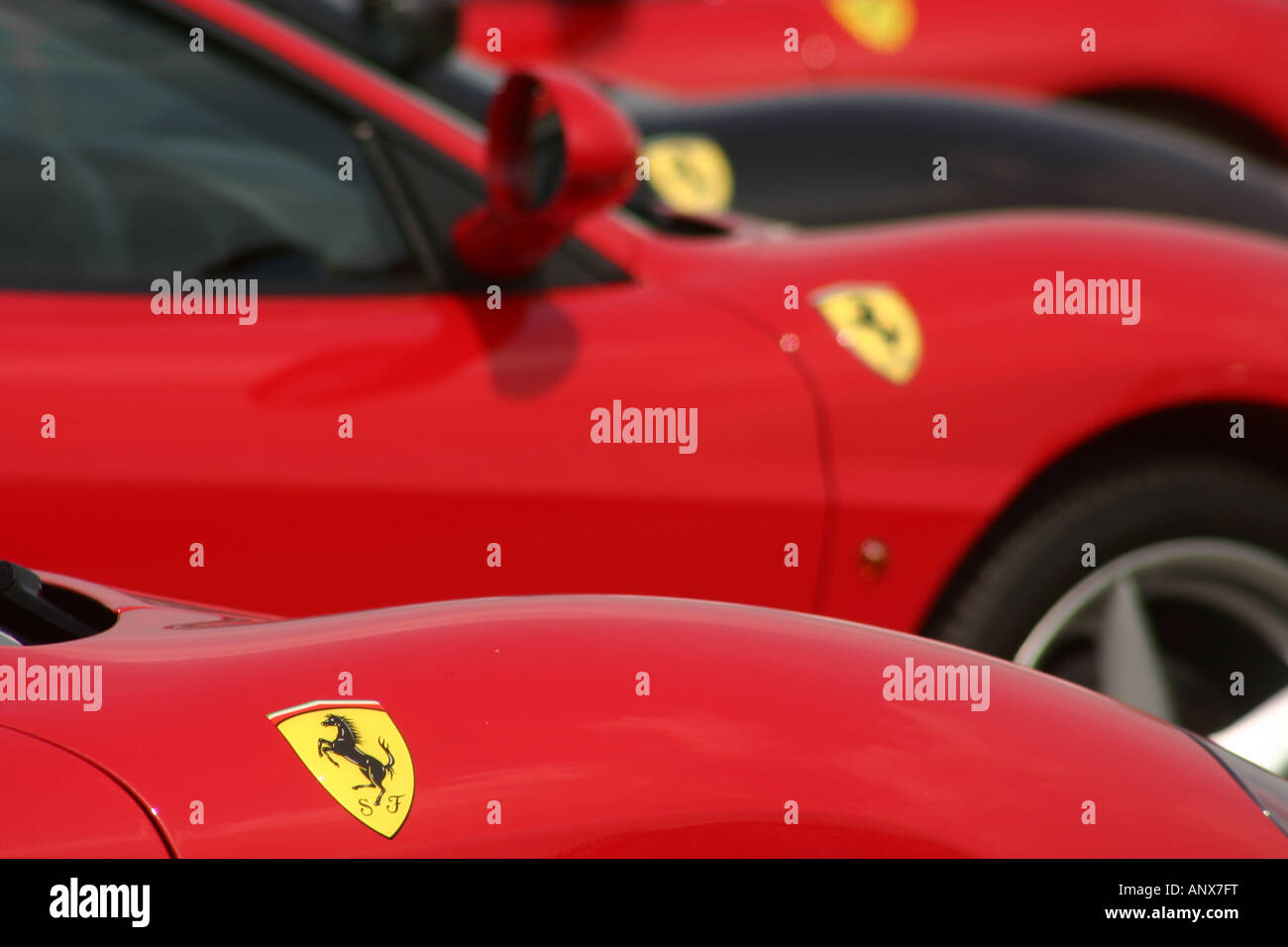 row of red ferraris Stock Photo - Alamy
