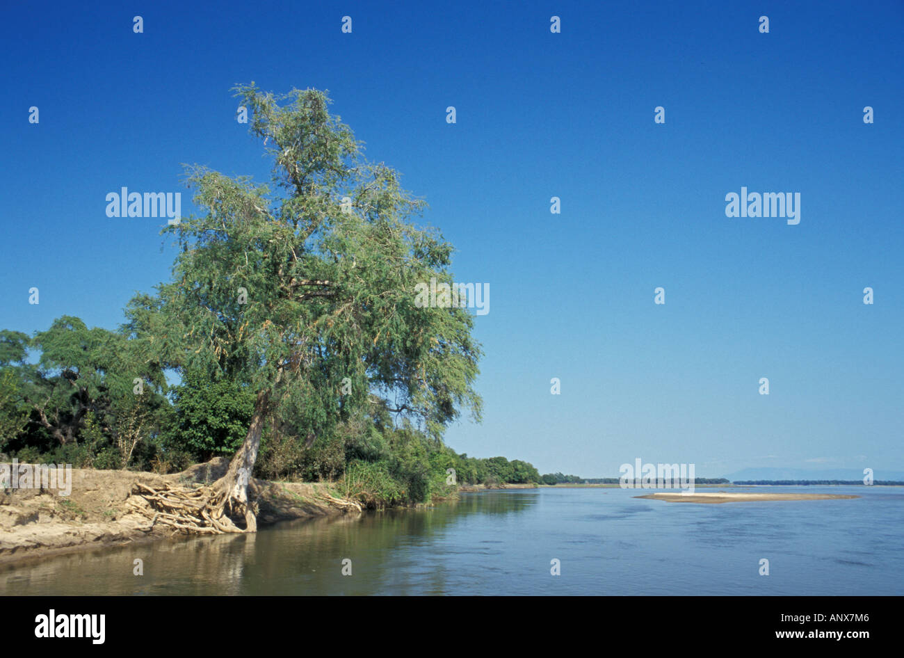 Africa, Zimbabwe, Mana Pools National Park. Zambesi River Stock Photo ...