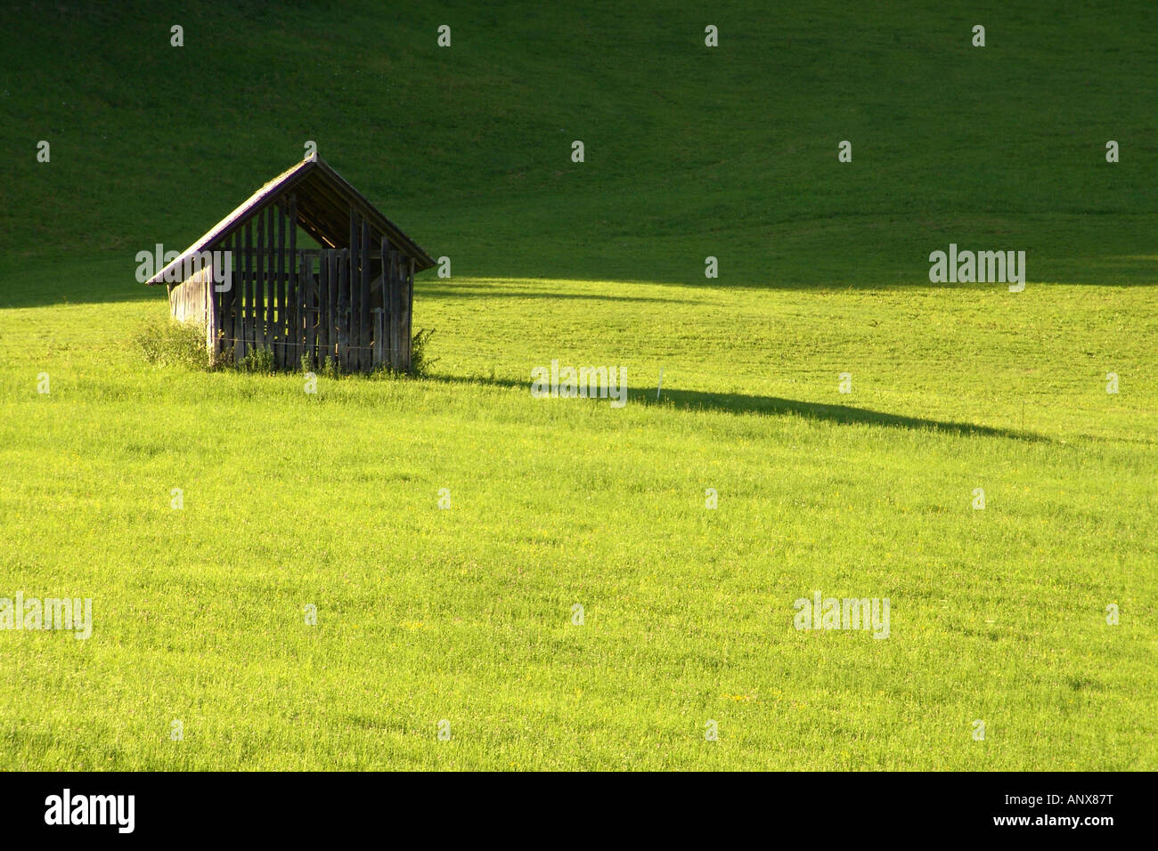 meadow and barn, Austria Stock Photo - Alamy