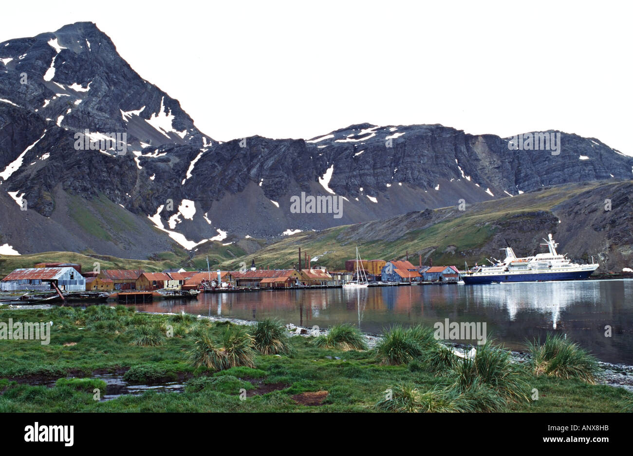 Grytviken, South Georgia Island, with two ships in the harbor Stock ...