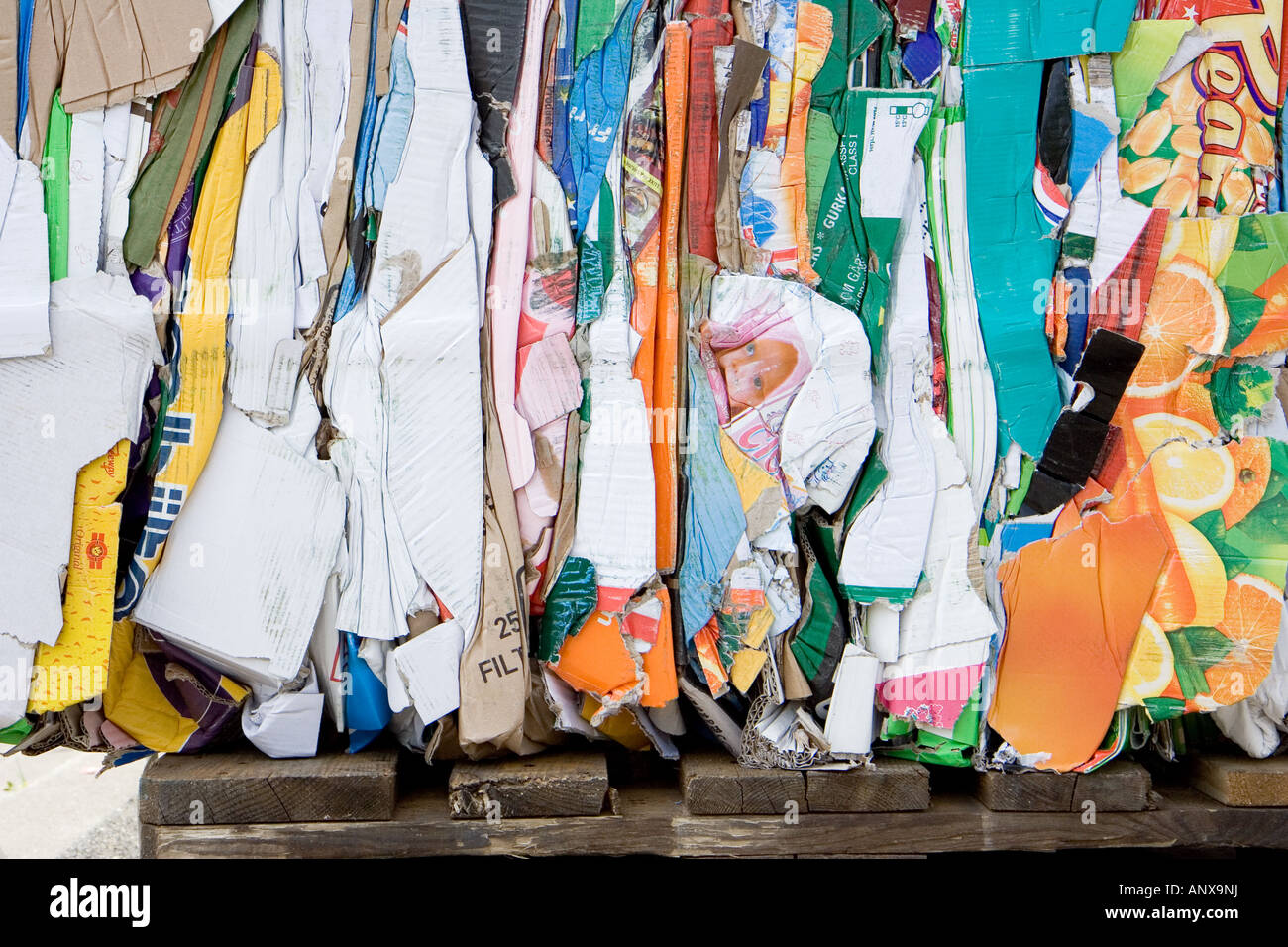 Pressed Cartons for Recycling Stock Photo - Alamy