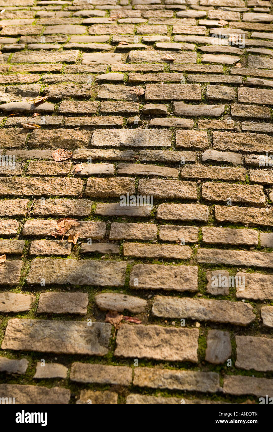 Well worn pathway hi-res stock photography and images - Alamy