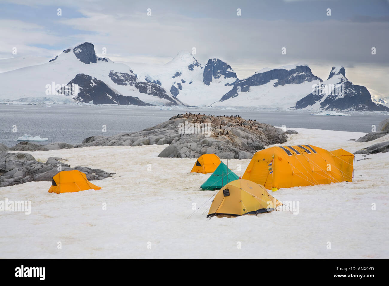 A US research team's camp on Petermann Island where biologists are ...