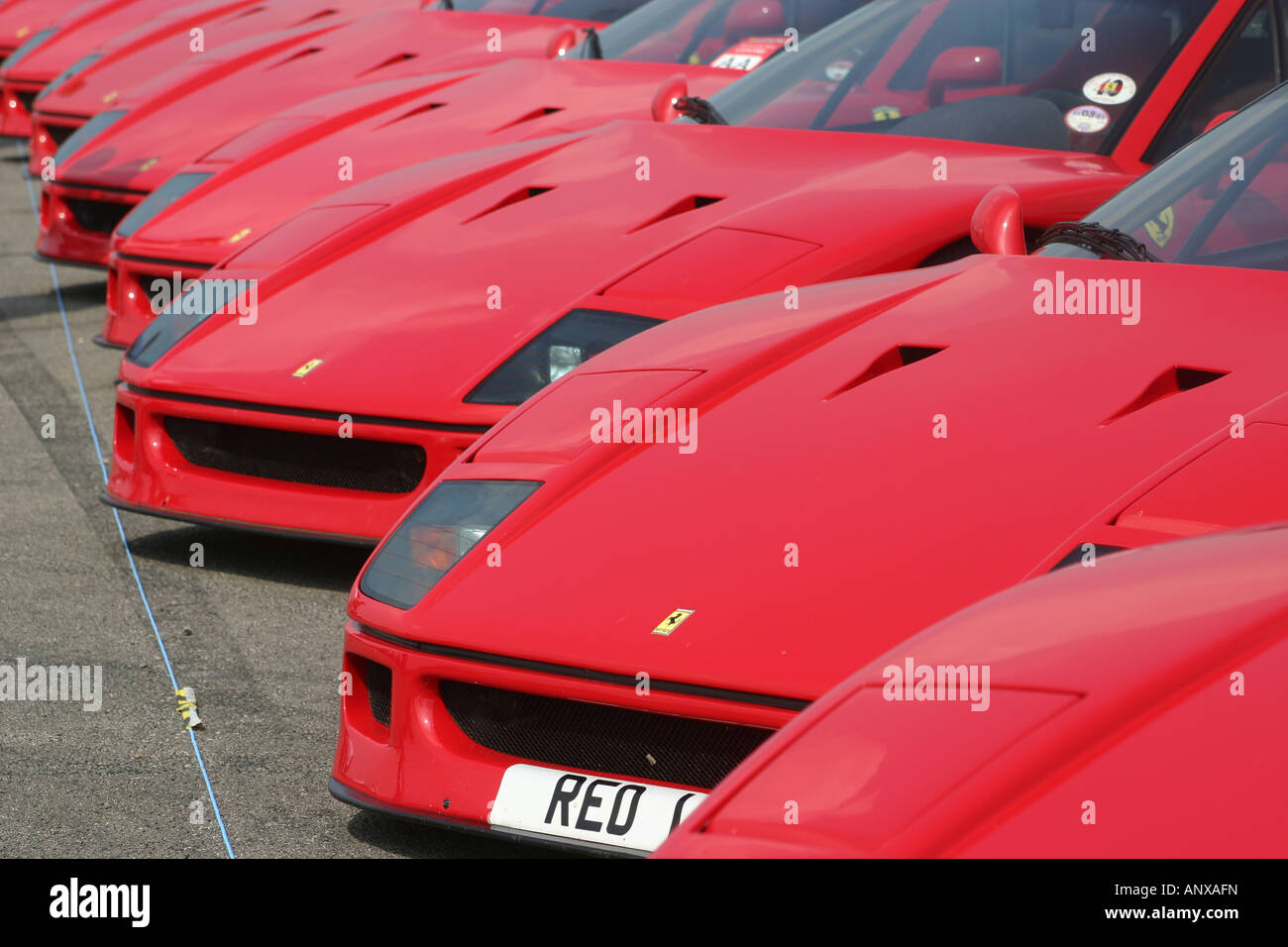 Red1 row of Ferrari F40's Stock Photo - Alamy