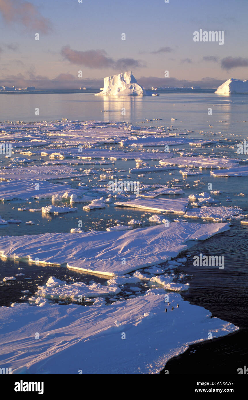 Antarctic sea ice aerial hi-res stock photography and images - Alamy