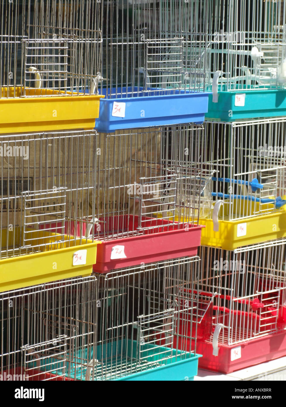 cages in pet shop Stock Photo - Alamy