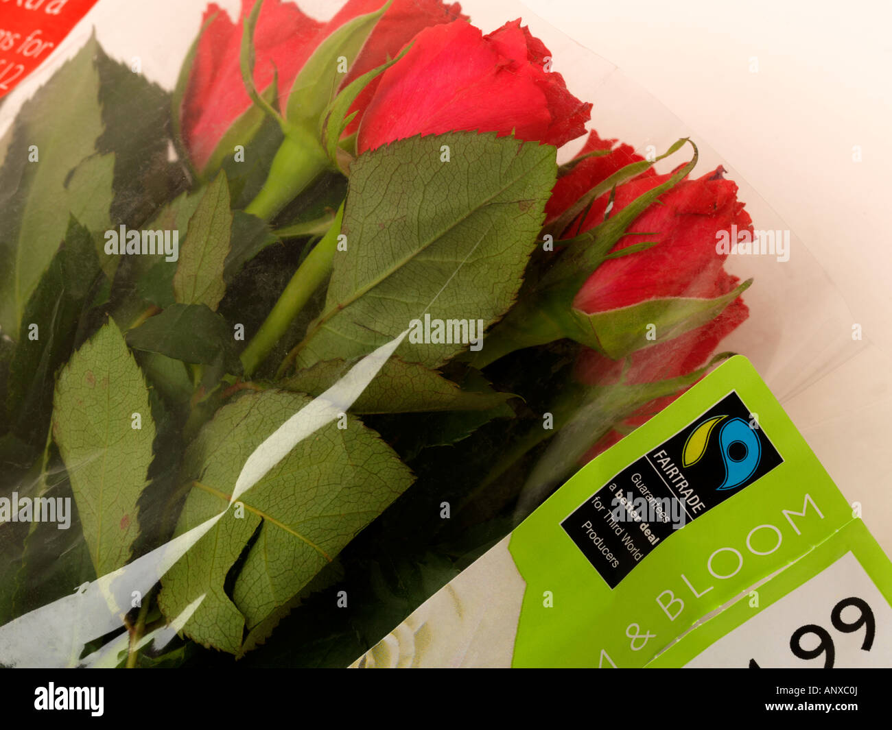 Fairtrade Roses from Kenya Stock Photo - Alamy