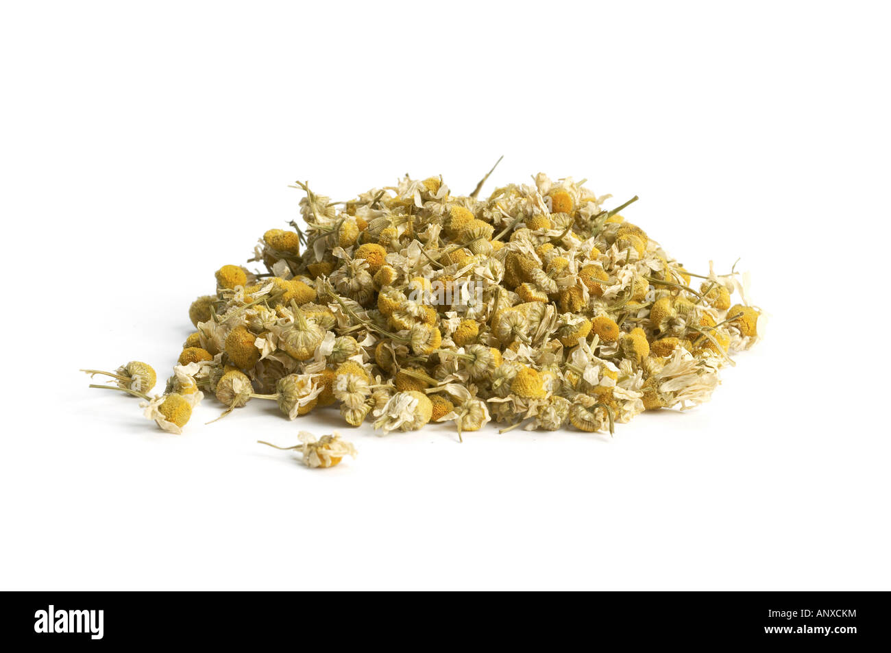 Dried Chamomile tea Stock Photo - Alamy