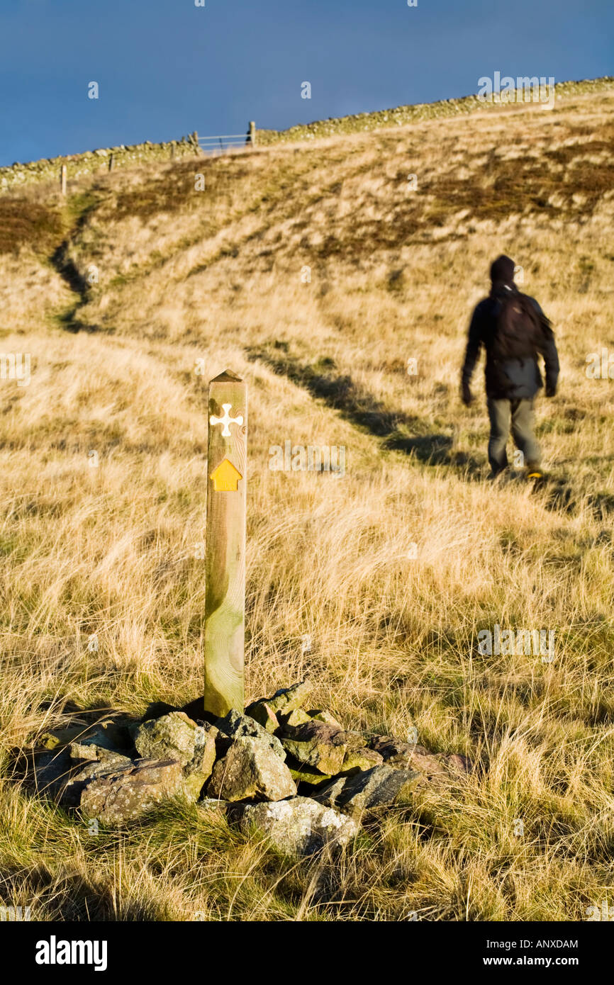 Walker on the St Cuthbert s Way long distance trail near the summit of ...